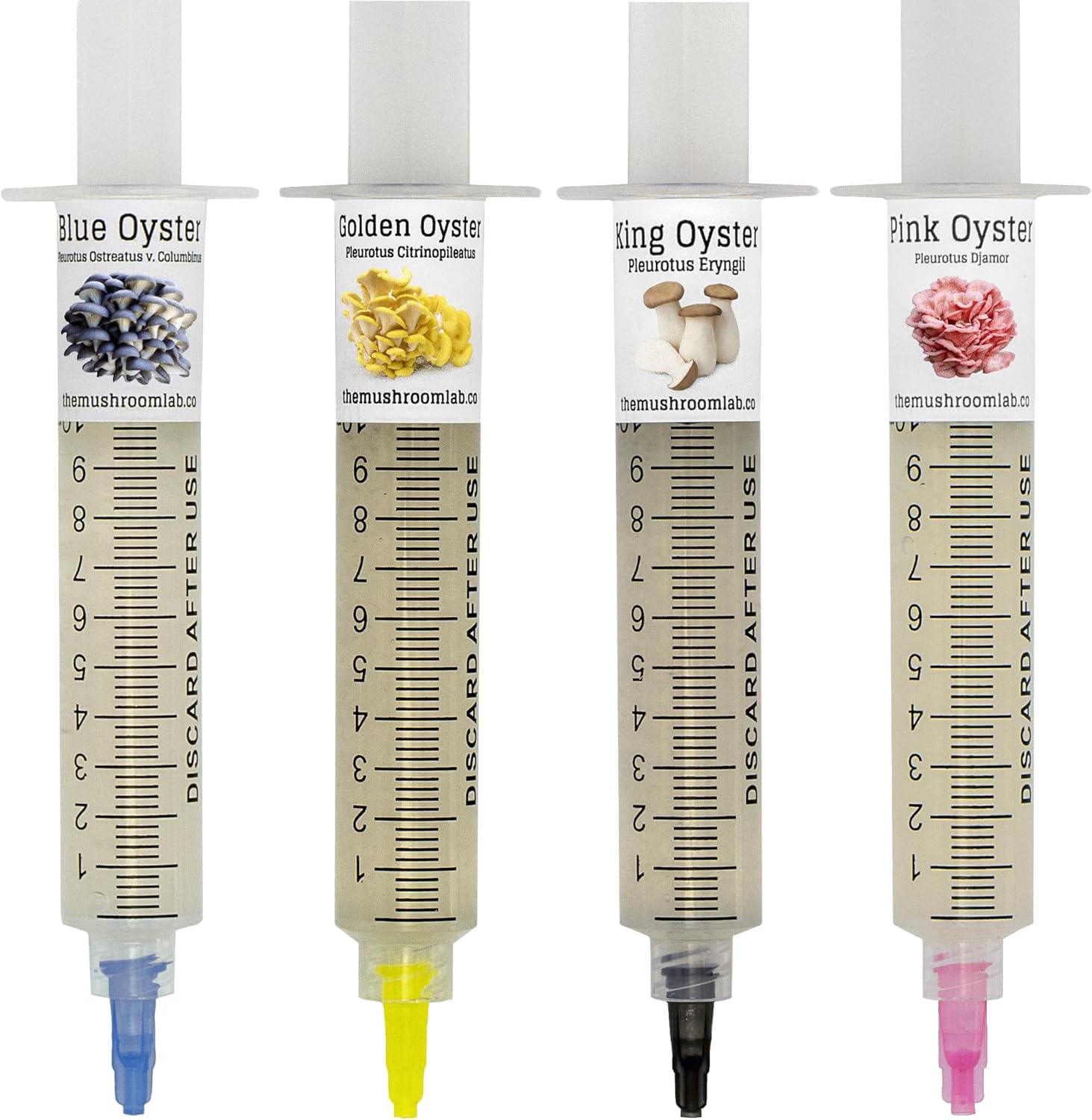 Amazon.com : The Mushroom Lab - Oyster Mushroom Liquid Culture Syringes ...