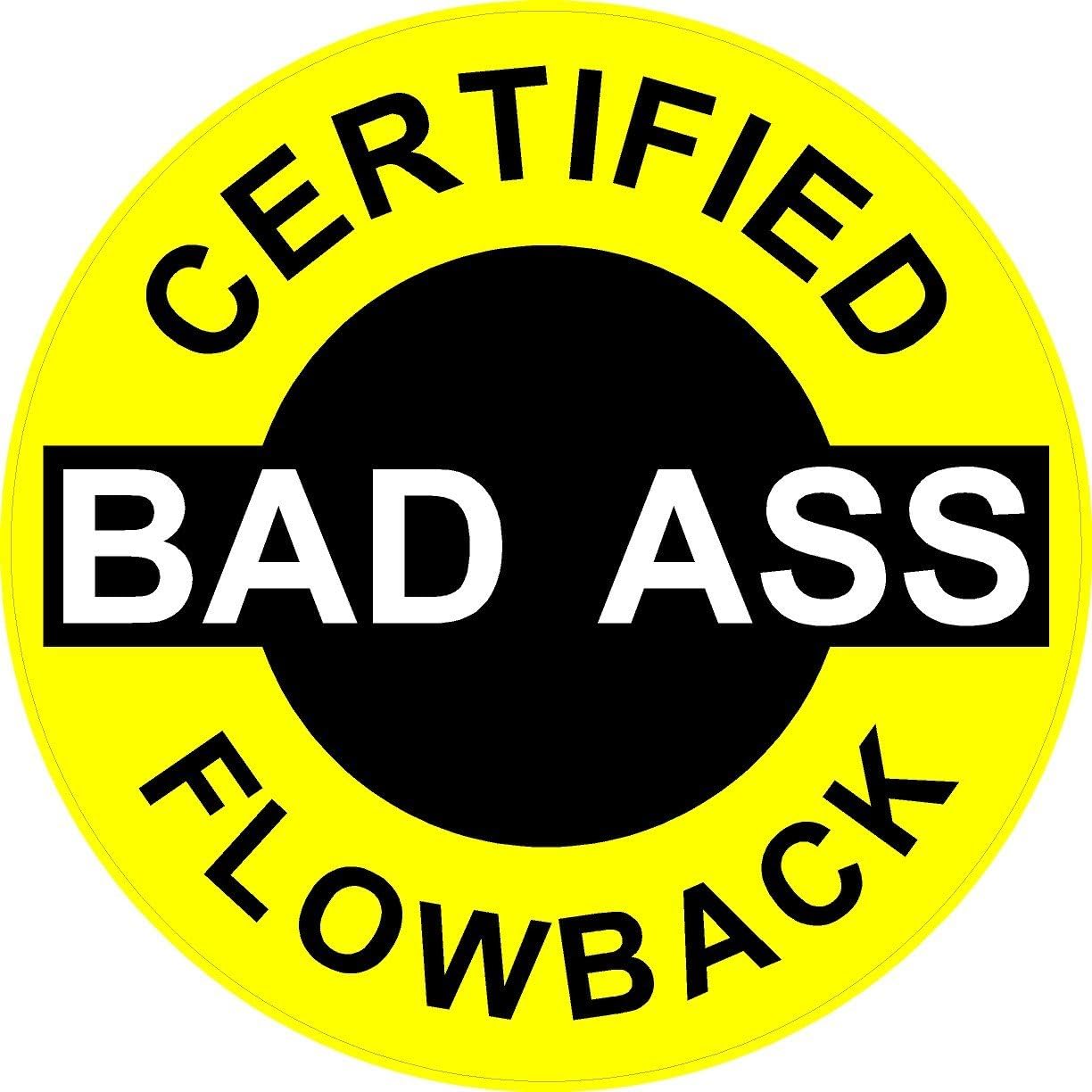Amazon.com: 1080 Graphics 3 - Certified Bad Ass Flowback 2" Hard Hat ...
