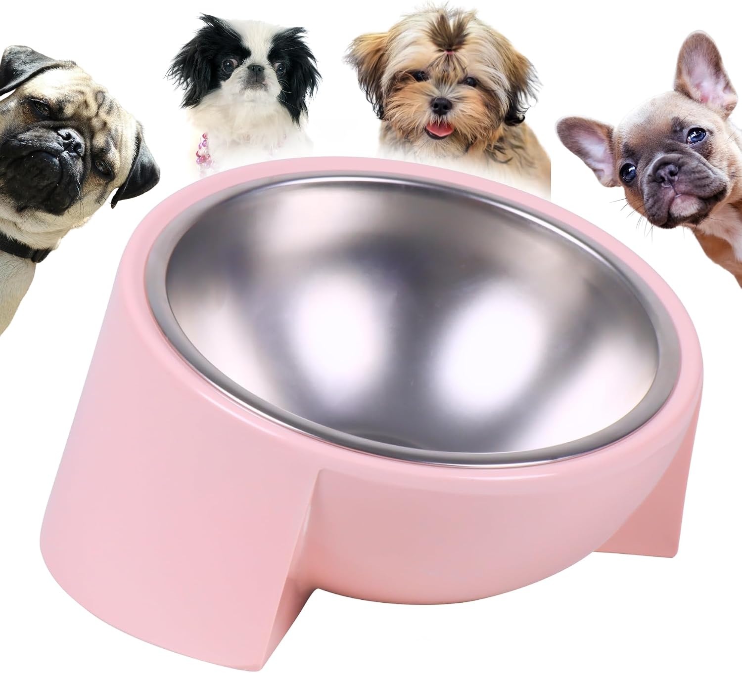 Pet Supplies : Tilted Dog Bowl for Flat-Faced & Senior Dogs, 15 ...