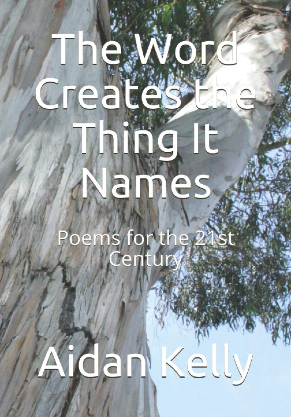 Buy The Word Creates the Thing It Names: Poems for the 21st Century ...