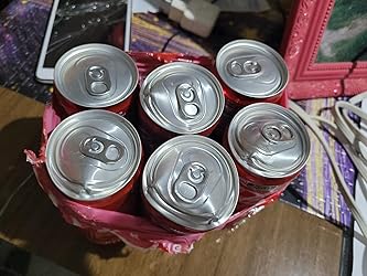 Pack de COCA-COLA LATA 310 ML 6 unidades | Amazon.com.br