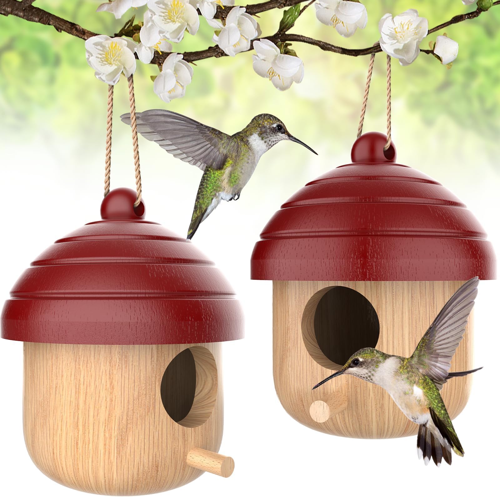 Amazon.com: 2 Pack Hummingbird House, Window View Wooden Humming Bird ...