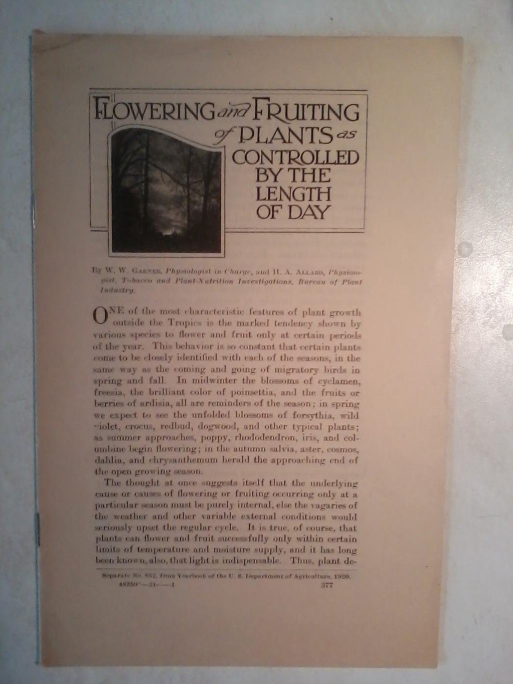 Flowering and Fruiting of Plants as Controlled by the Length of Day: W ...