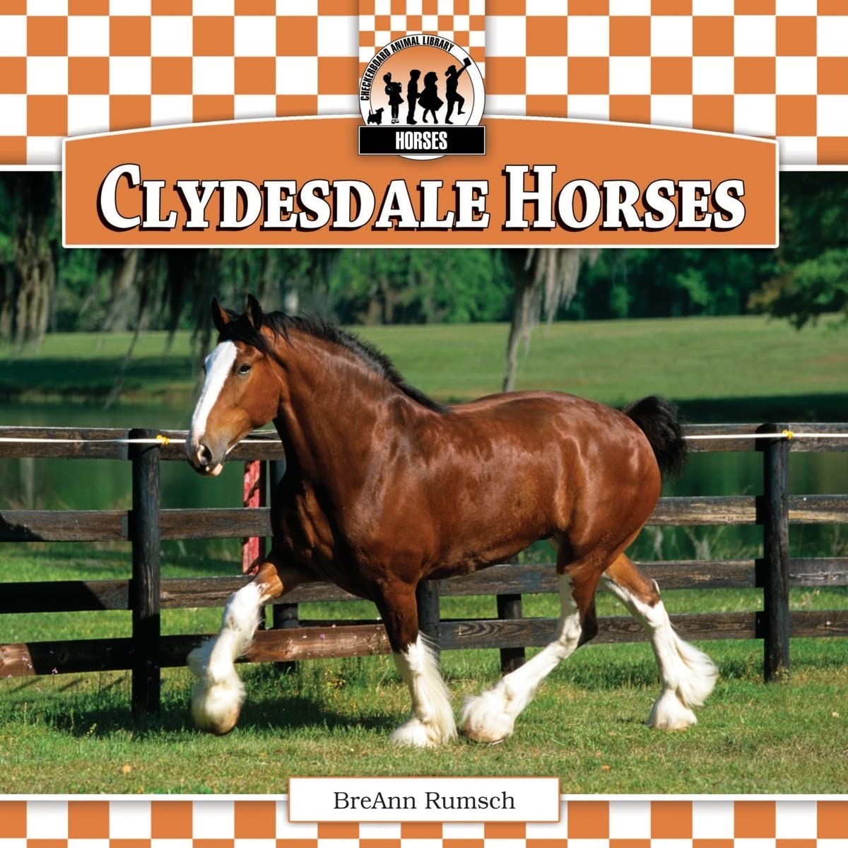 Clydesdale Horses: Rumsch, Breann: 9781616134198: Amazon.com: Books