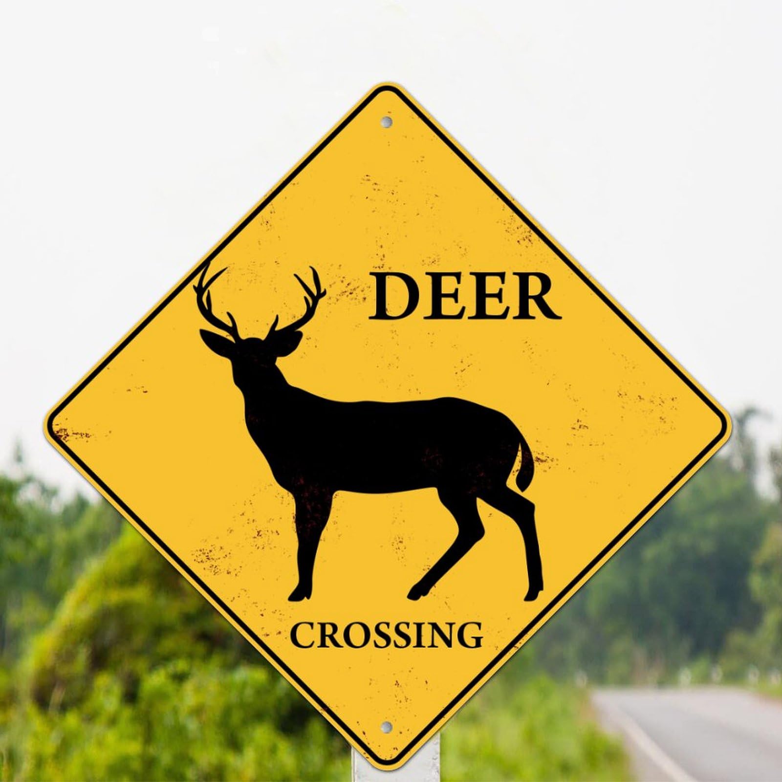 Metal Deer Camp Signs
