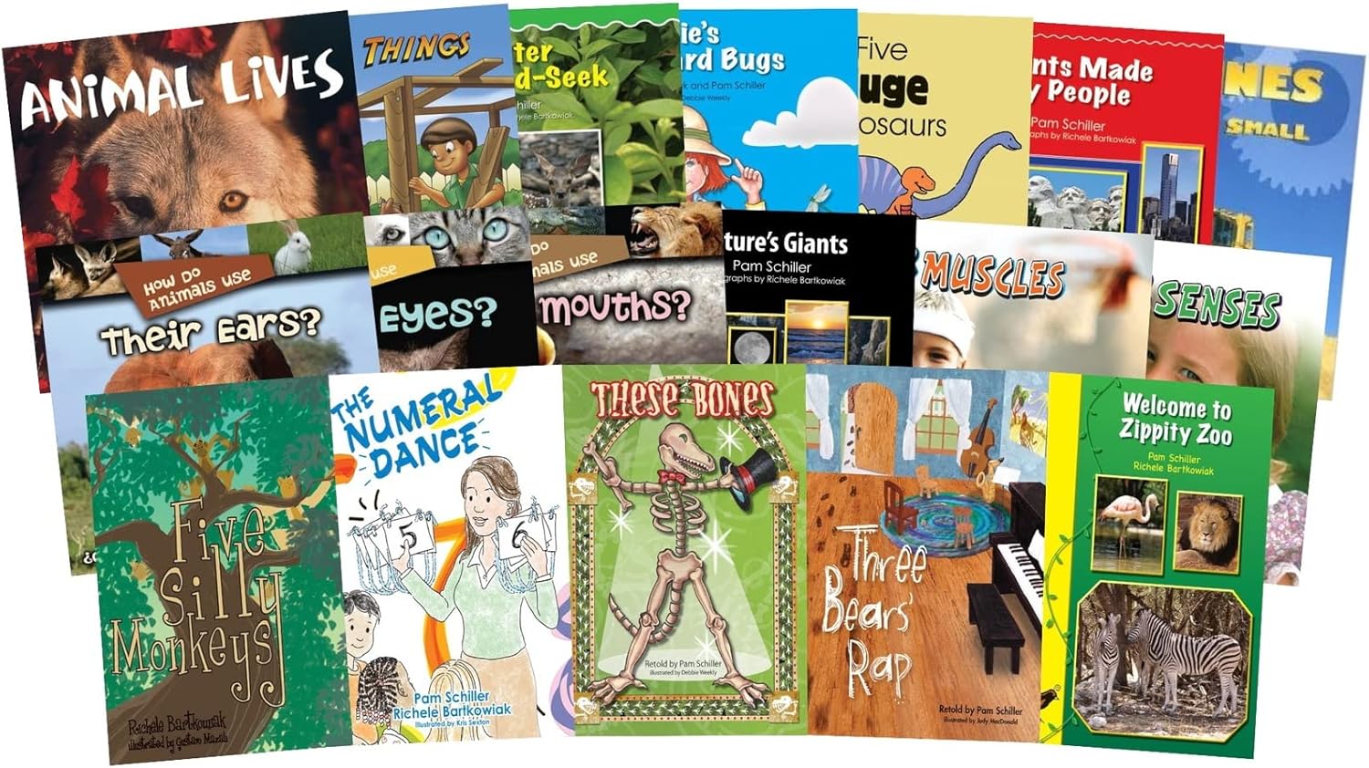 Amazon.com: Frog Street STEM English Big Book Collection (19 Big Books ...