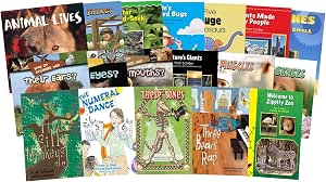 Amazon.com: Frog Street STEM English Big Book Collection (19 Big Books ...