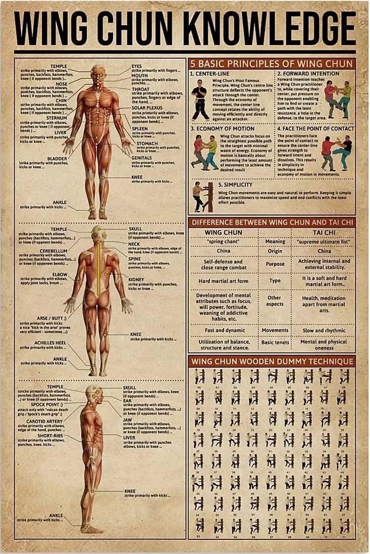 Amazon.com: Starotore 5 Basic Principles Of Wing Chun Motivational ...