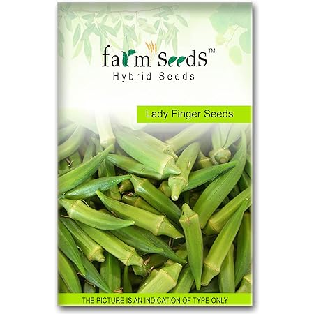 FARM SEEDS Hybrid Lady Finger 1 Packet Seeds Seed (70 per packet ...