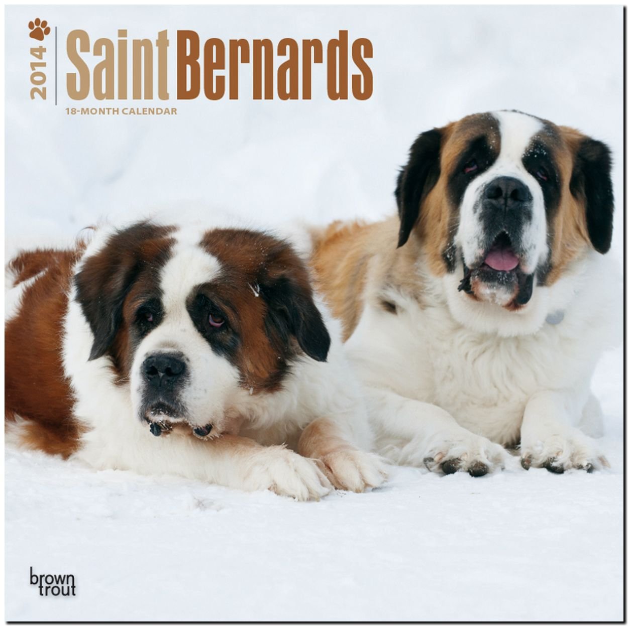 Saint Bernards 2014 Calendar: Browntrout Publishers: 9781465012425 ...