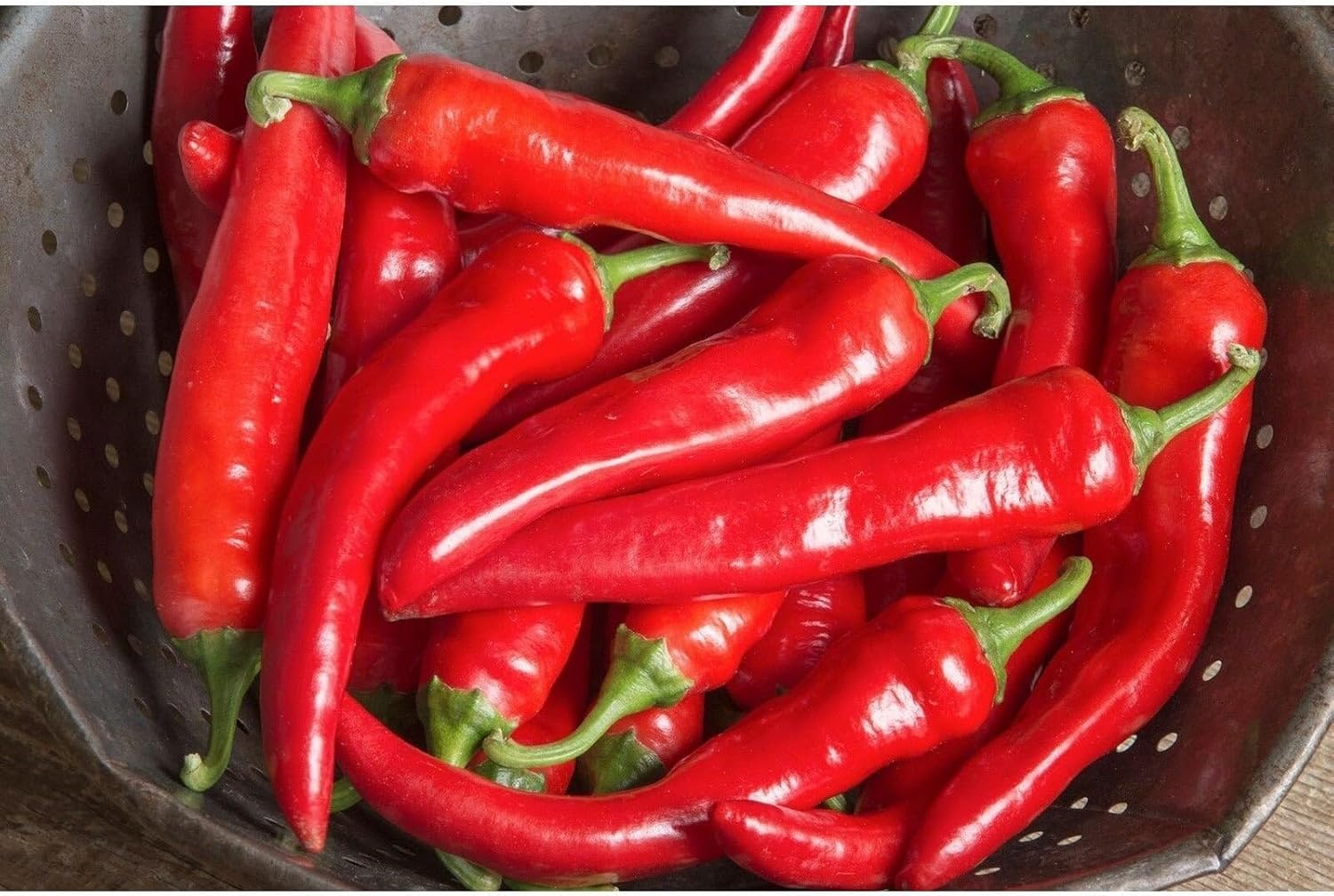 Amazon.com : Red Ember Organic F1 Hybrid Pepper Seed (100 Seed Pack ...