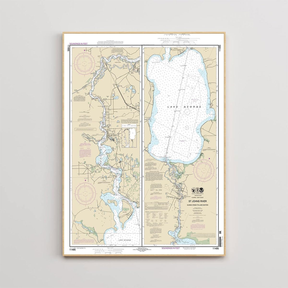 Amazon.com: MG Global Historical Poster of 2013 map of st Johns River ...