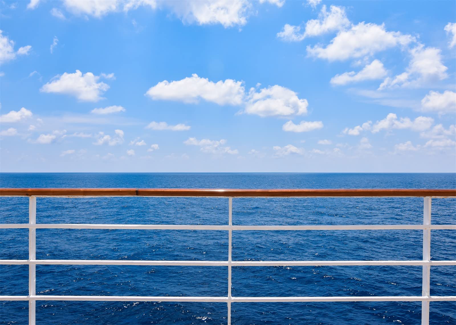 Buy BELECO Cruise Ship Backdrop 8x6ft Fabric Cruise Ship Deck Railings ...
