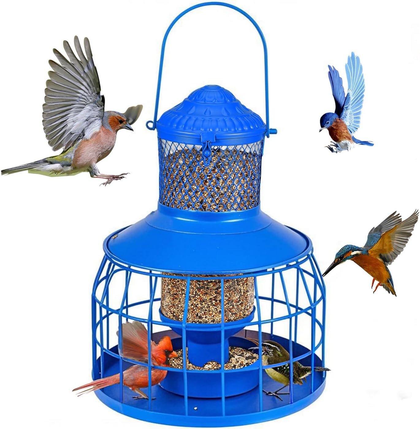 Amazon.com: Squirrel Proof Bird Feeders, Metal Wild Bird Feeders for ...