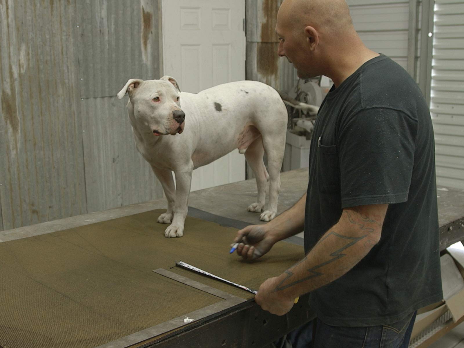 Watch Full Custom Garage | Prime Video