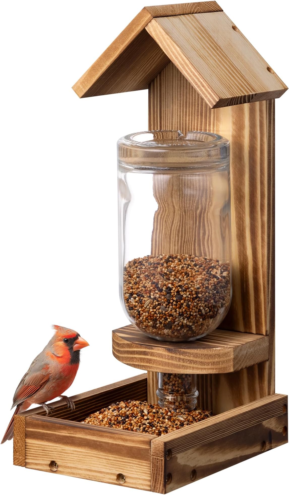 Navaris Bird Feeder with Glass Bottle - Hanging Seed Feeder for Small ...