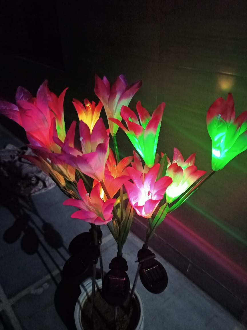 En-Lite 2Pack Solar Garden Lily Flower 8 LED and 8 Flower Lights ...