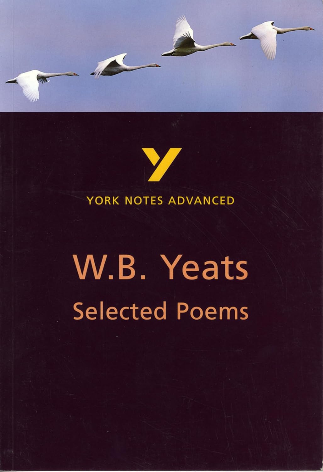 Selected Poems of W B Yeats (2nd Edition): Jeffares, Derry ...