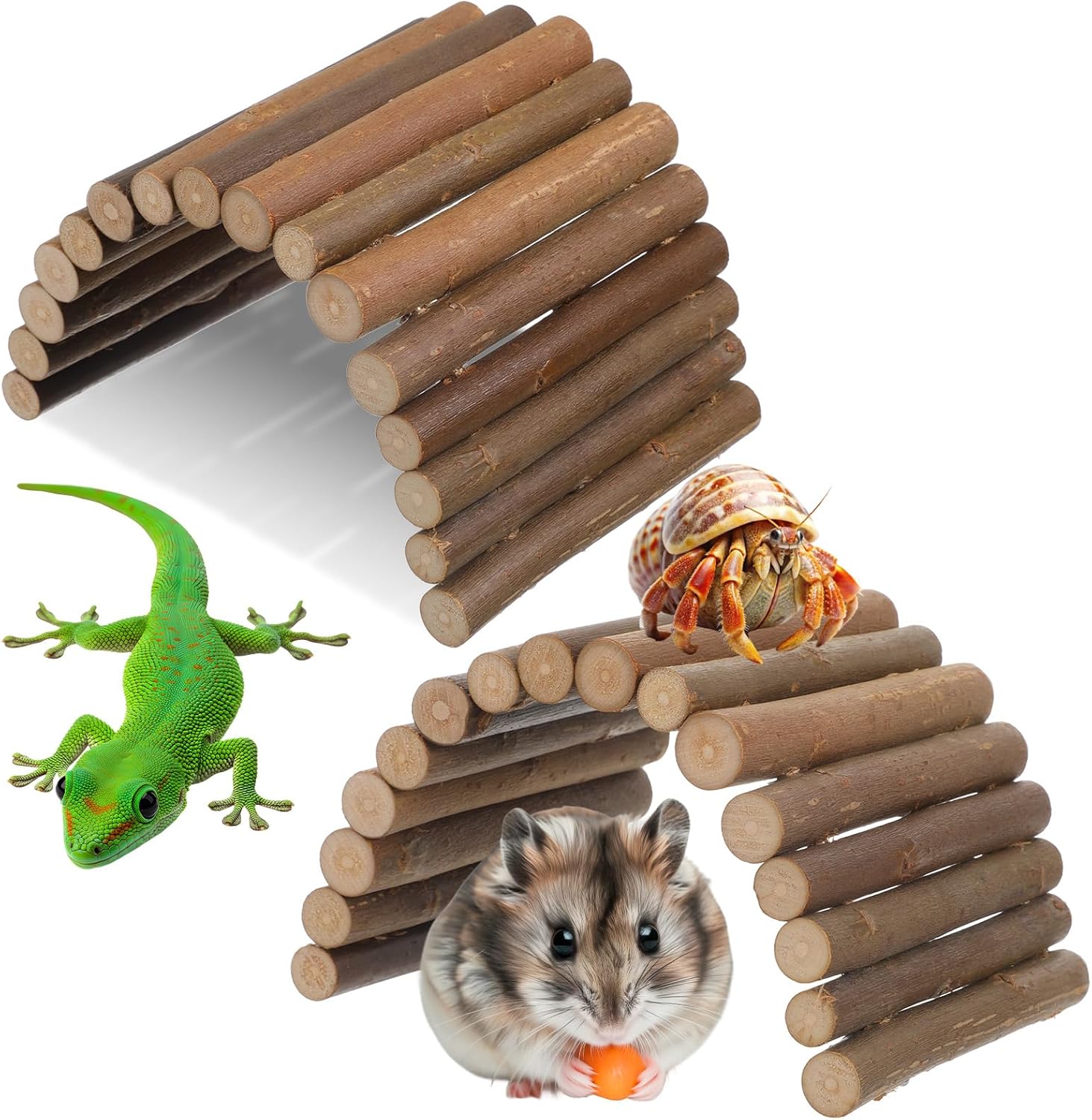Amazon.com : Natural Wood Hideout Hamster Bridge Tunnel Ladder Hamster ...