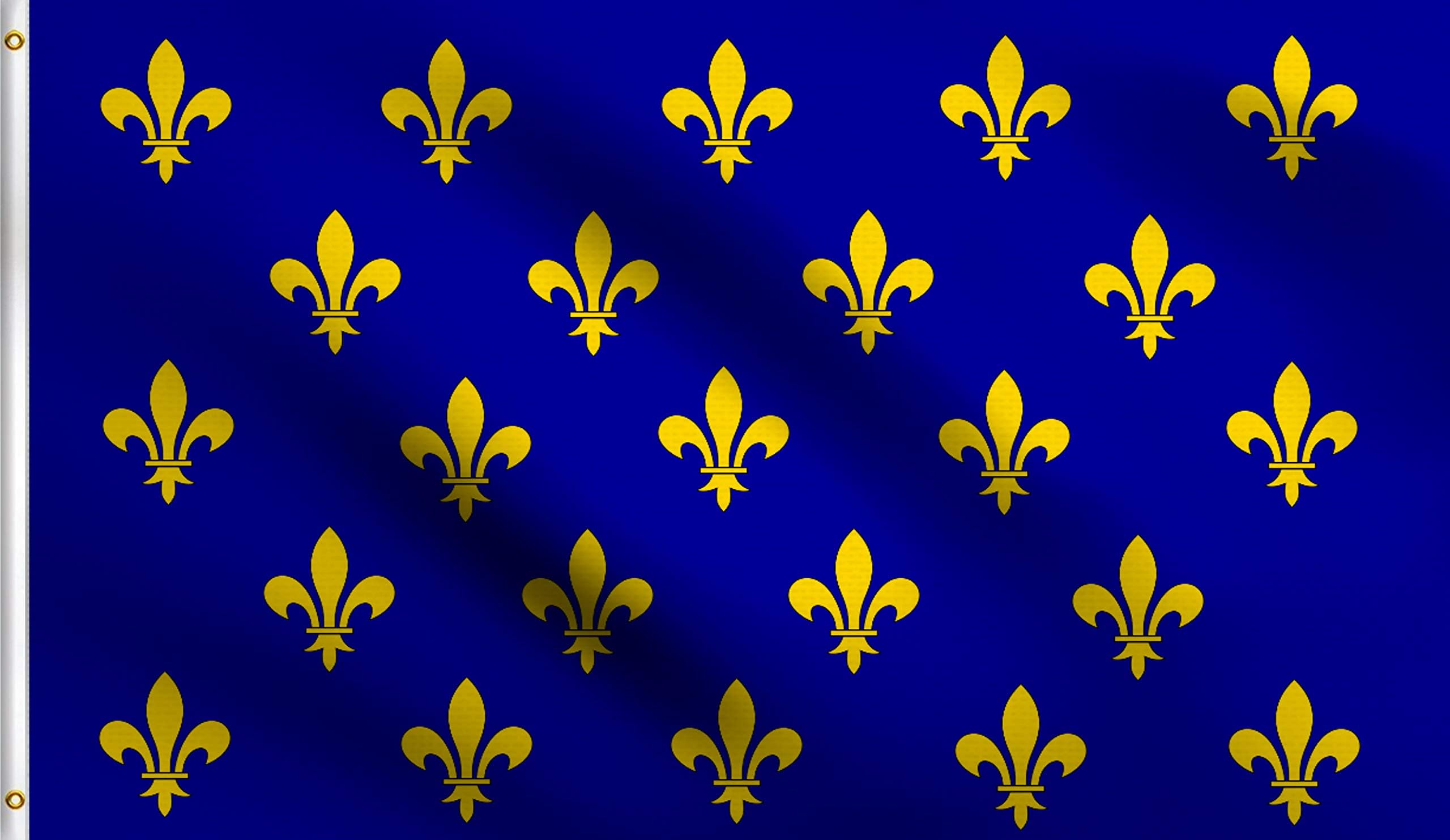 Amazon.com : DMSE Blue Fleur De Lis Few French France Royal Flag 3X5 Ft Foot 100% Polyester 100D ...