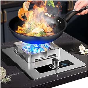 Amazon.com: Indoor Stainless Steel Gas Cooker - Tabletop and Flush ...