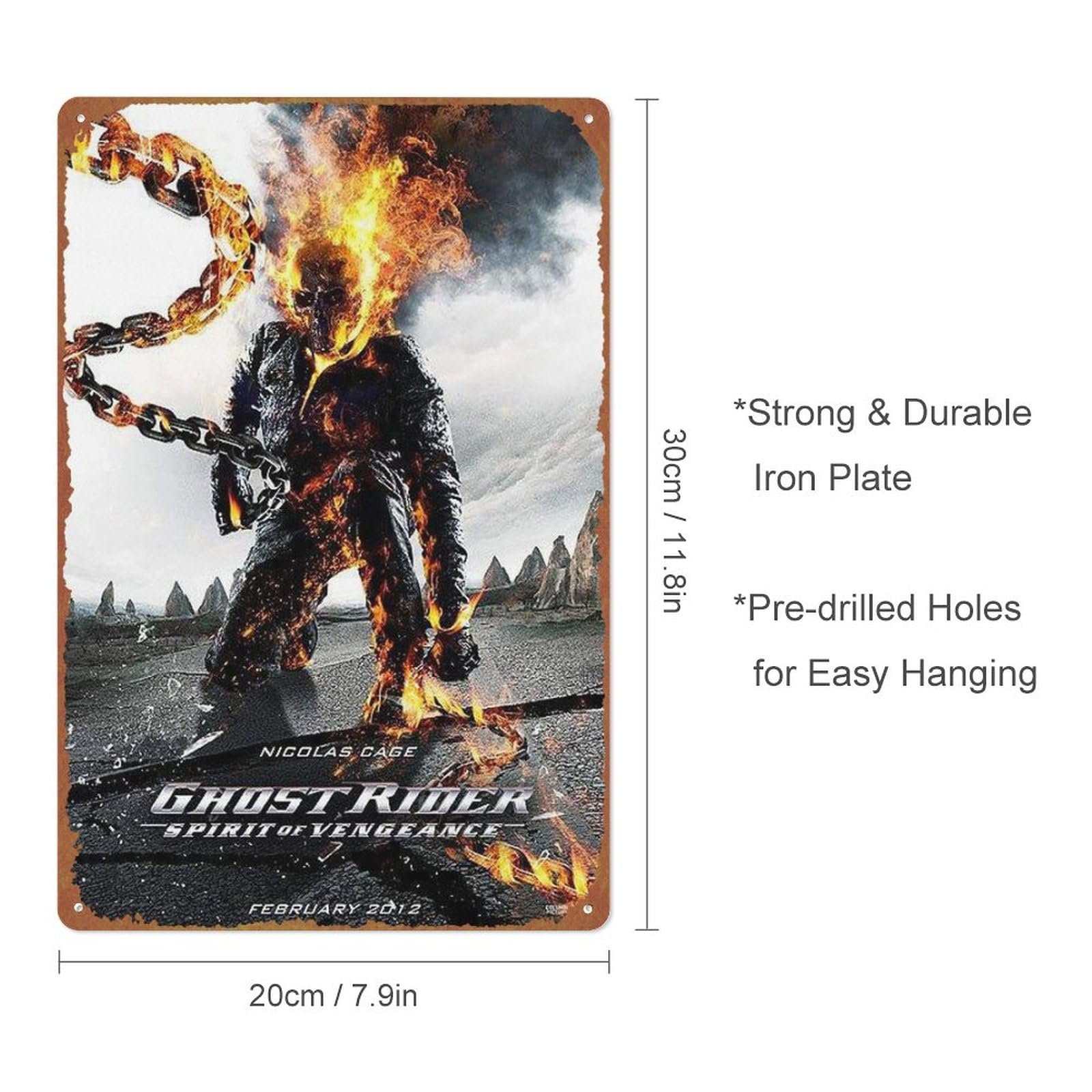 Ghost Rider Spirit Of Vengeance Poster