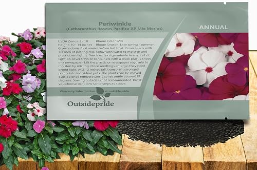 Outsidepride Vinca Periwinkle Pacifica XP Merlot - Mezcla de flores de ...