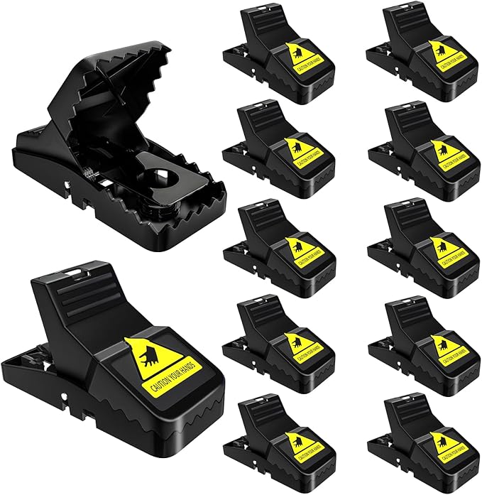 Amazon.com : Mouse Traps Indoor for Home: Small Mice Trap for House ...