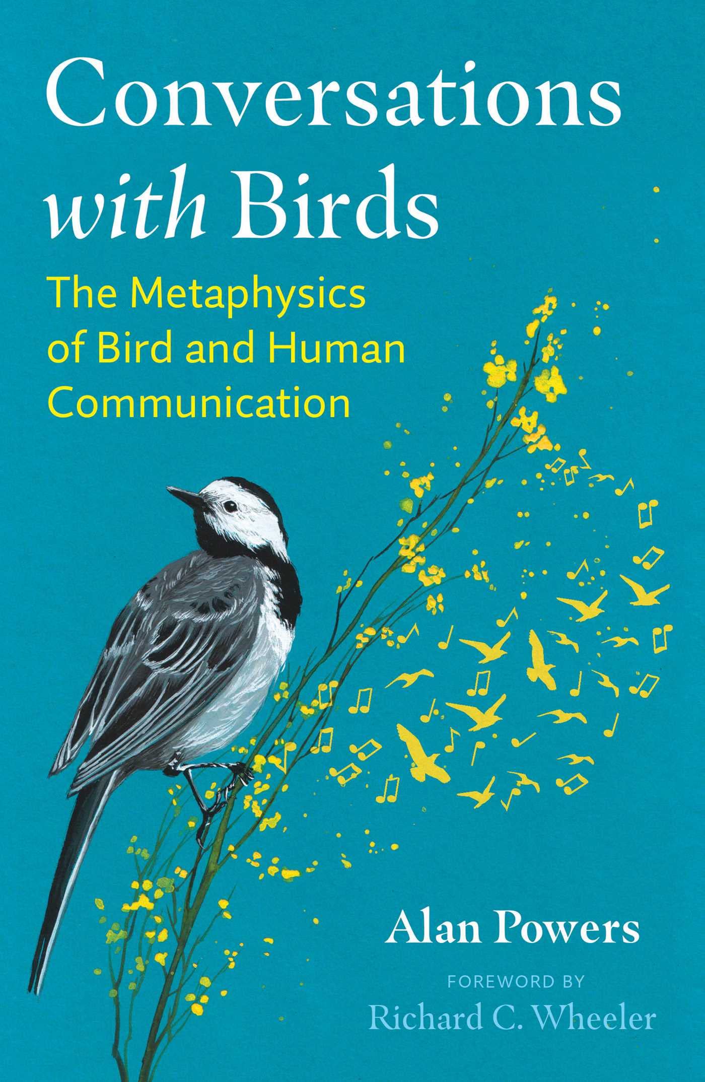 Buy Conversations with Birds: The Metaphysics of Bird and Human ...