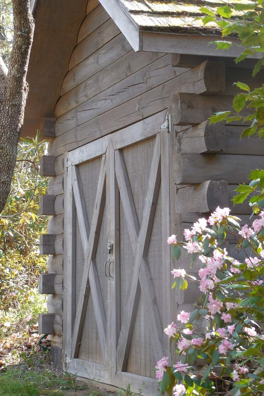 The She Shed Book Review Companion: For She Shed Owners Who Love to ...