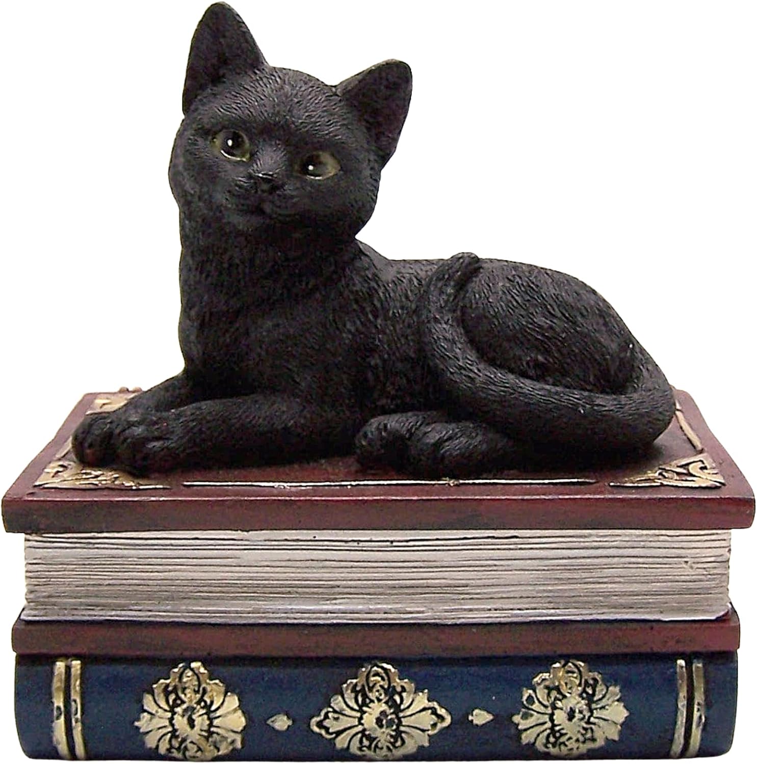 Amazon.com: Wowser Black Cat on a Stack of Books Decorative Box ...