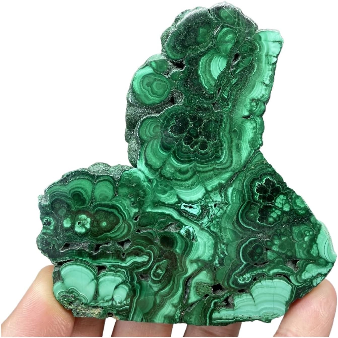 Amazon.com: Natural Green Malachite Polished Mineral Specimen Slice ...