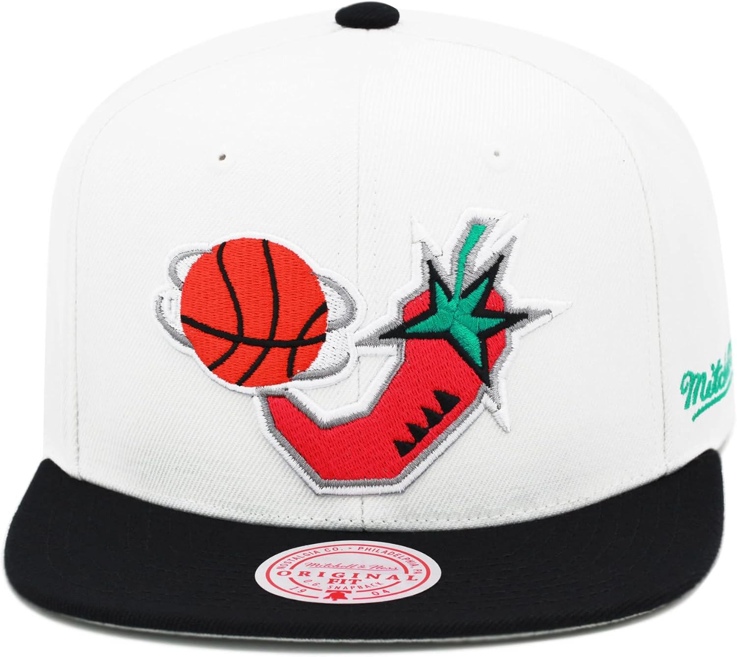 Amazon.com: Mitchell & Ness NBA 96 All Star Game Snapback Hat ...