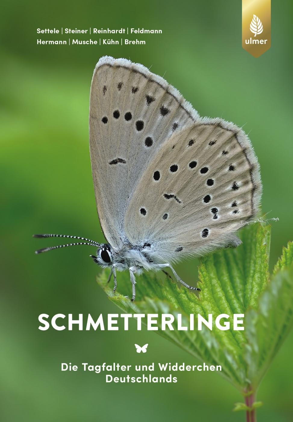 Schmetterlinge: Die Tagfalter und Widderchen Deutschlands. Empfohlen ...