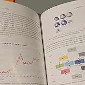 Amazon.com: Better Data Visualizations: A Guide for Scholars ...