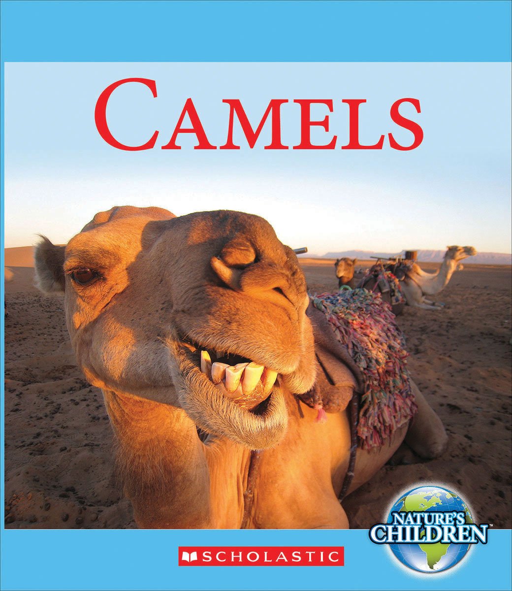 Camels (Nature's Children): Zeiger, Jennifer: 9780531211700: Amazon.com ...