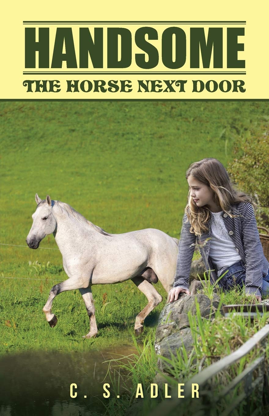 Buy Handsome The Horse Next Door Online At DesertcartINDIA buy-handsome-the-horse-next-door-online-at-desertcartindia