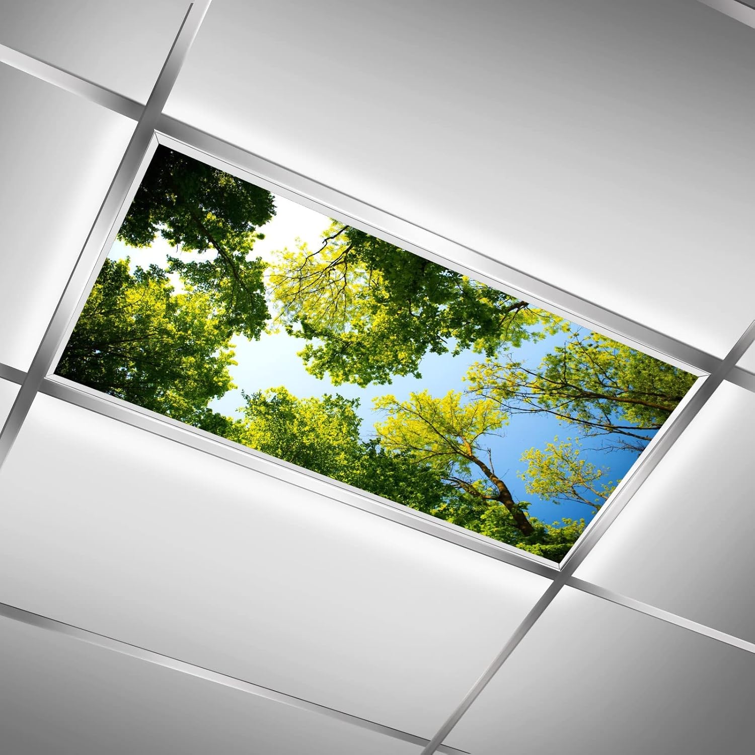 Spring Tree Up View Green Leaves Sight Drop Ceiling Fluorescent Light ...
