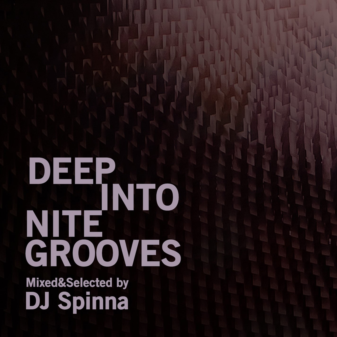 Various - Deep Into Nite Grooves: Mixed By DJ Spin / Various - Amazon ...