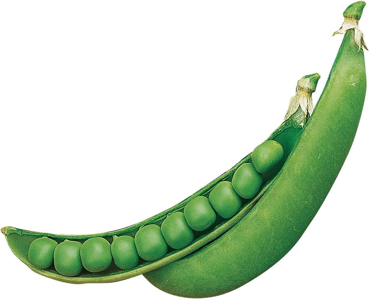 Amazon.com: Burpee Super Snappy Pea Seeds 900 seeds