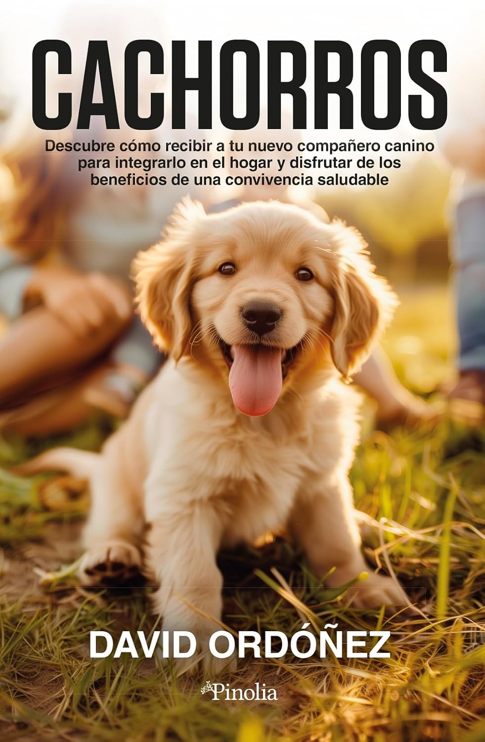 Cachorros: Descubre cómo recibir a tu nuevo compañero canino para ...