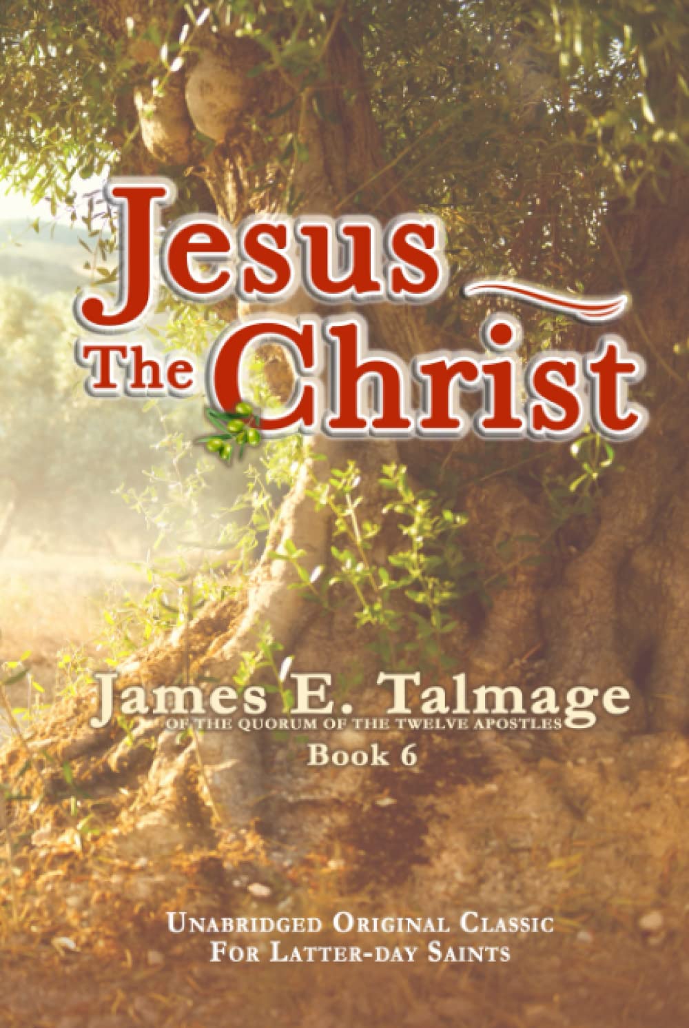 JESUS THE CHRIST: UNABRIDGED - FOR LATTER-DAY SAINTS (James Talmage ...