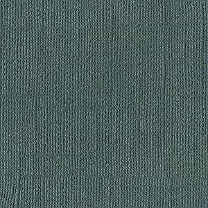 Amazon.com: Bazzill Basics Paper Cardstock Solid Gray Ash 12X12 80Lb ...