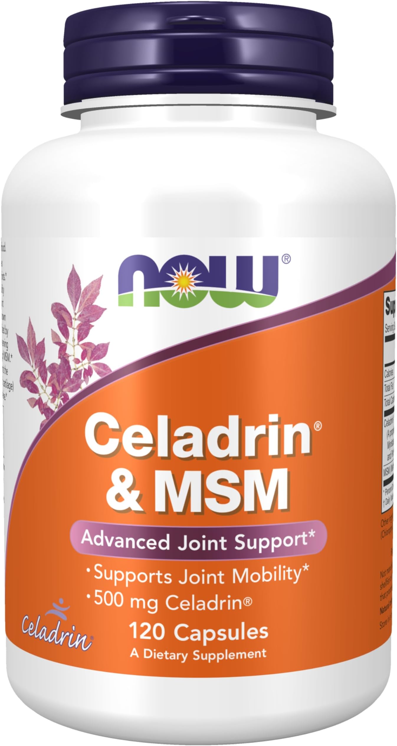 Amazon.com: NOW Foods Supplements, Celadrin® & MSM, 500 mg of Celadrin ...