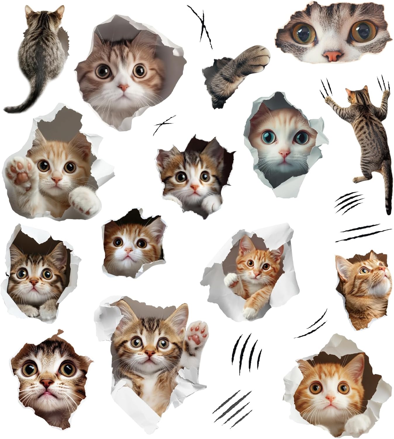 Amazon.com: beinkmake Cats 3D Wall Stickers Realistic Wall Decal Fun ...