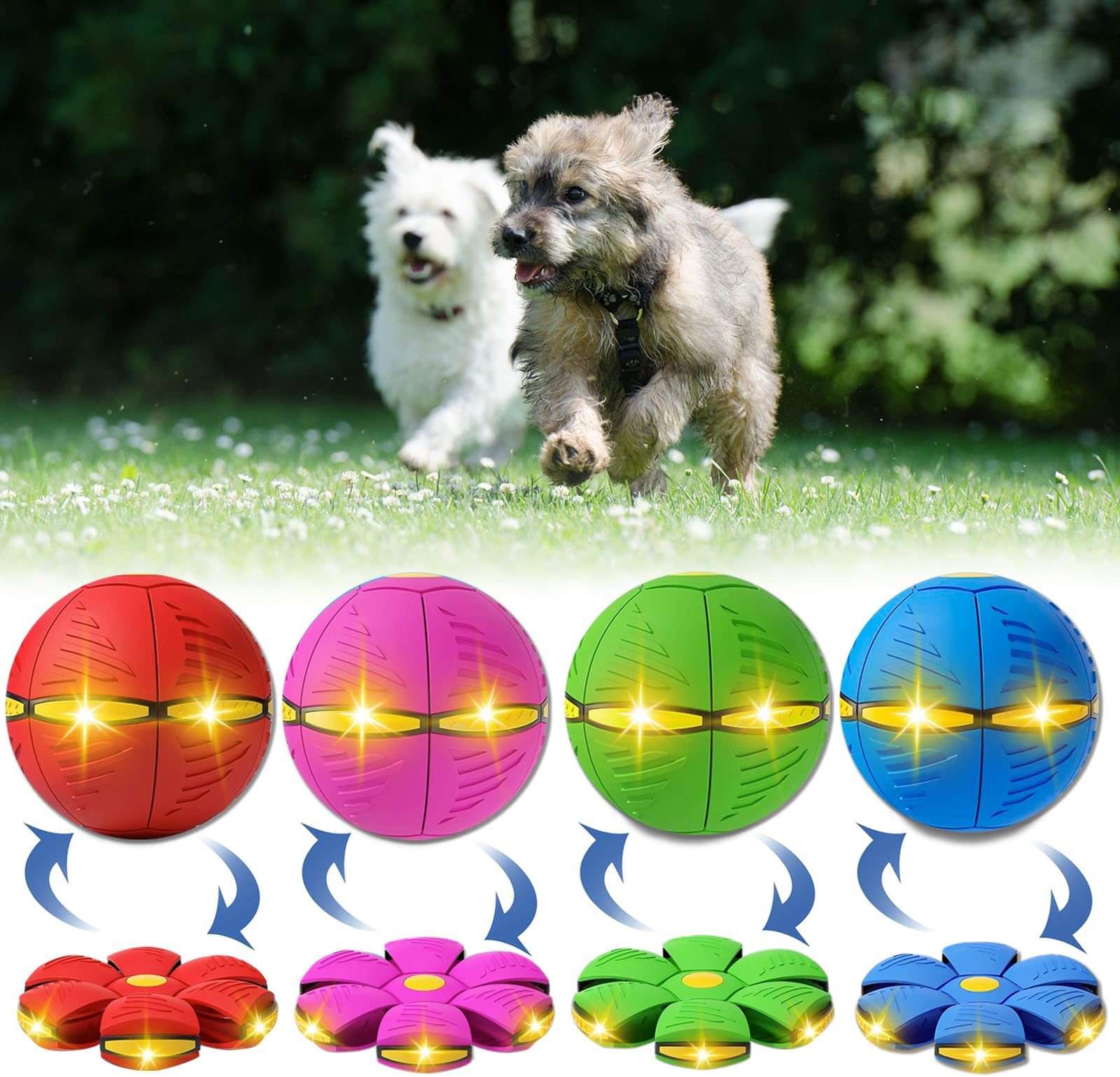 Amazon.com : yemyig 4Pcs Flying Saucer Ball for Dogs Dog Toys for Small ...