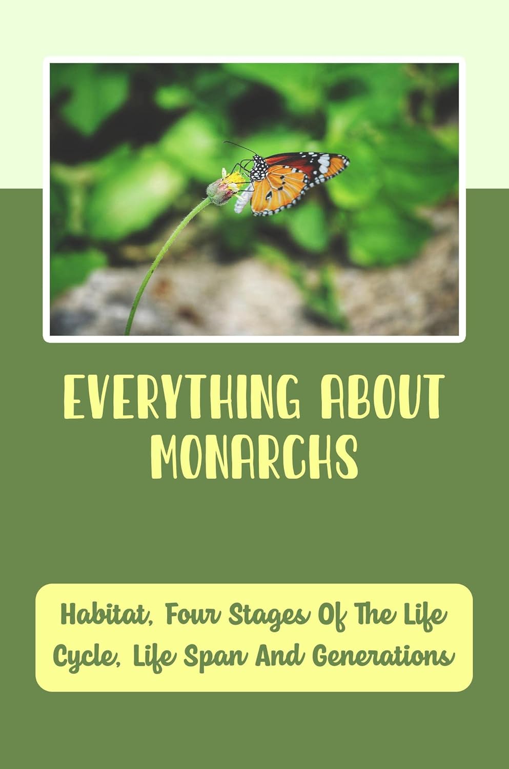 Everything About Monarchs: Habitat, Four Stages Of The Life Cycle, Life ...