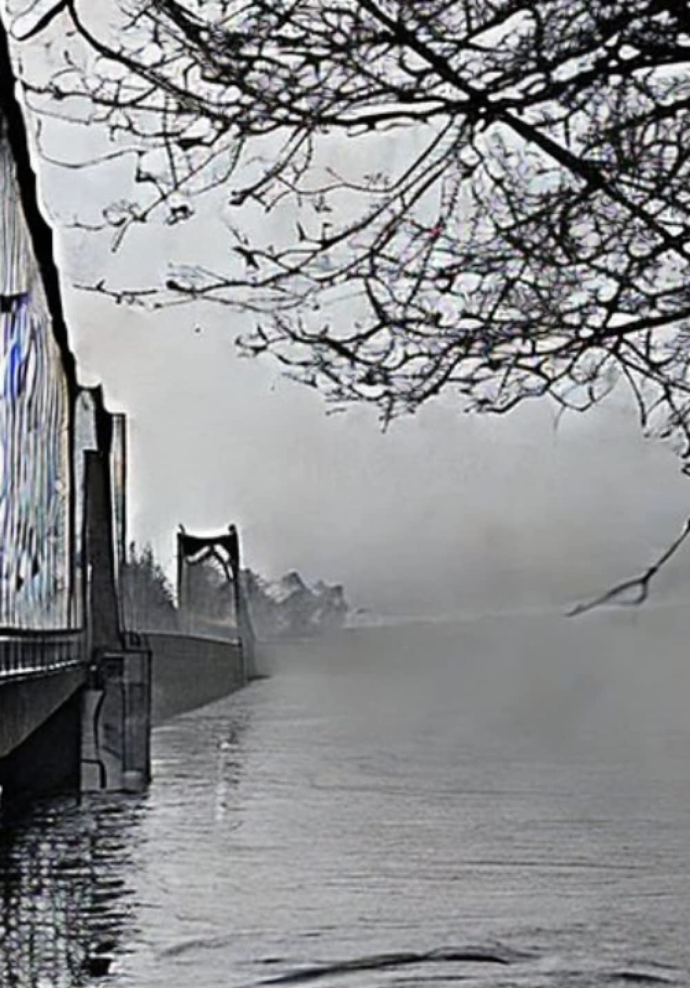 Bridge over Troubled Water: Swahn, Edwin B: Amazon.com: Books