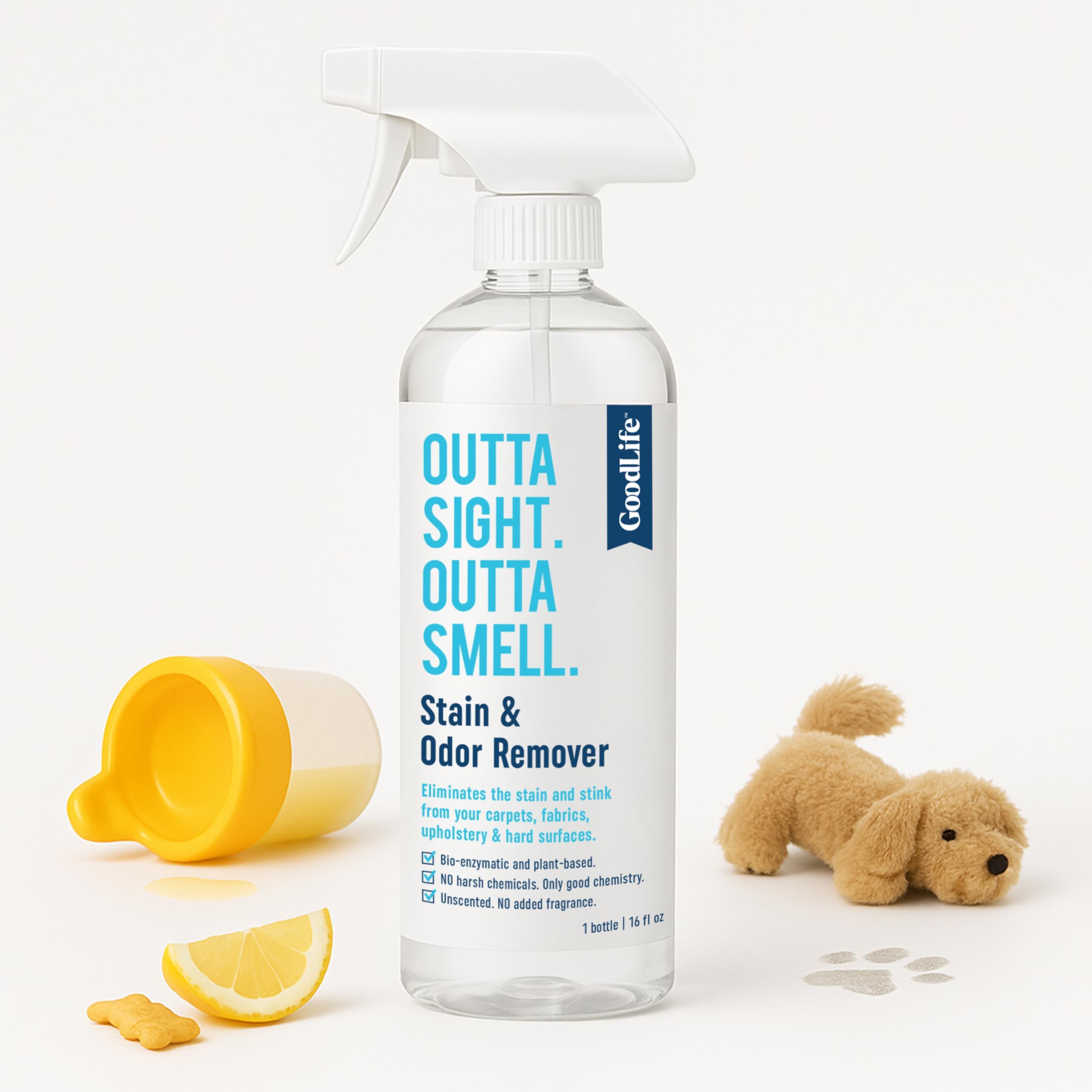 Amazon.com: Nu-Foam Beer Line Cleaner : Health & Household
