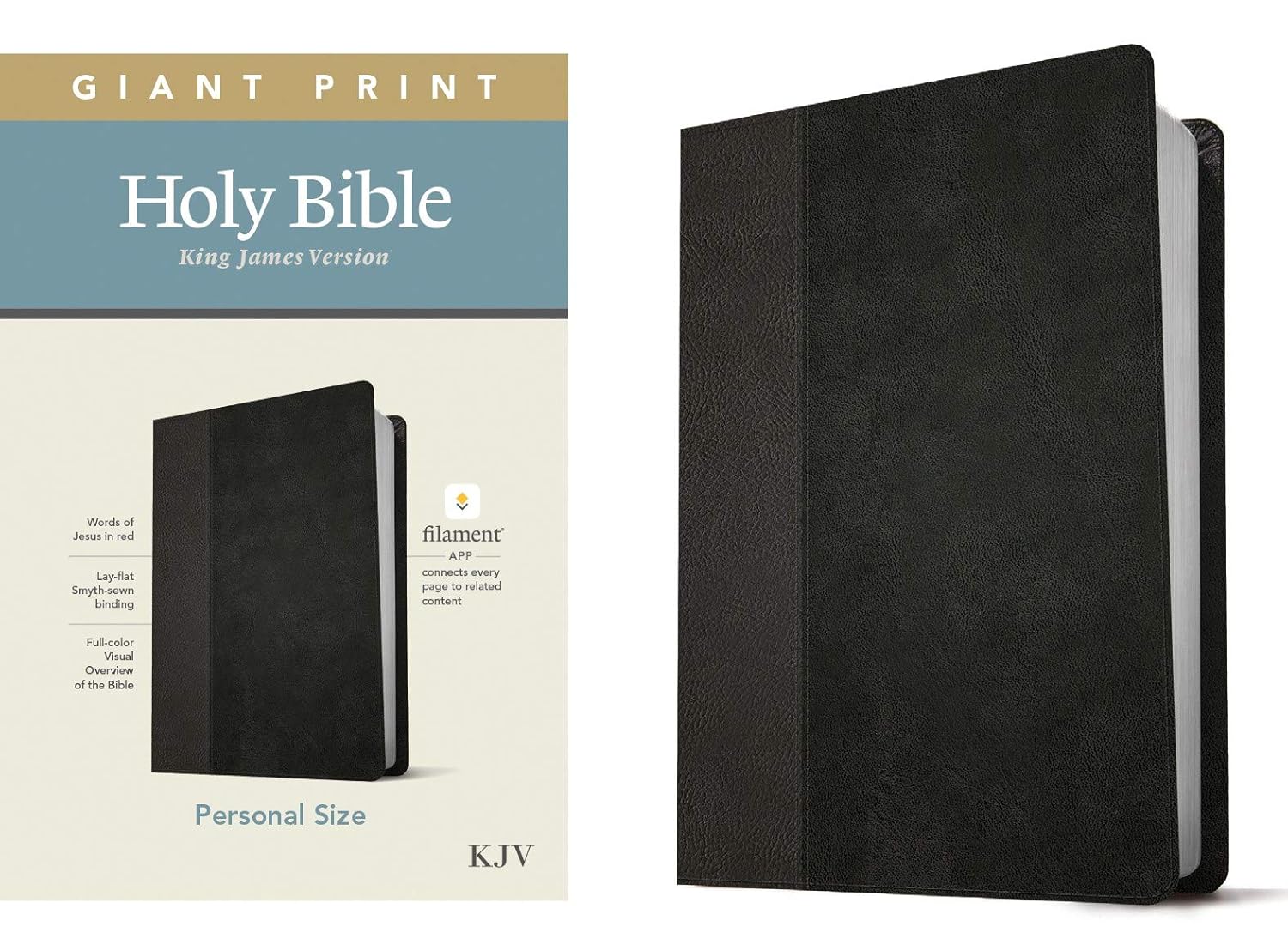 KJV Personal Size Giant Print Holy Bible (Red... by Tyndale